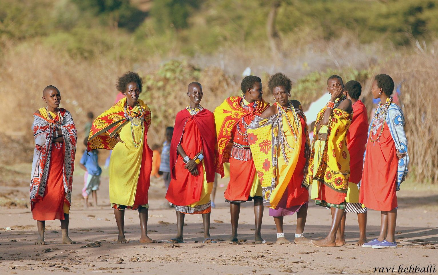 The Masai Women - Ravi Hebballi
